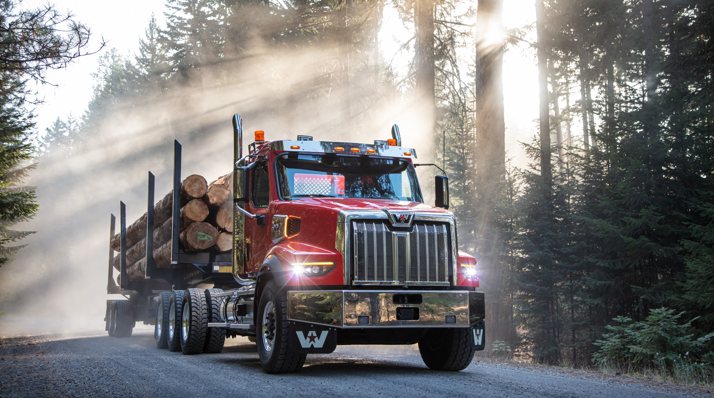 Home - Lumber Transport Inc.